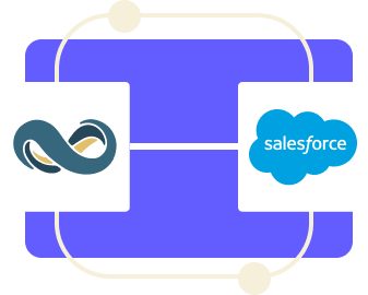 Seamless Integration for Salesforce and Oracle NetSuite - Initus